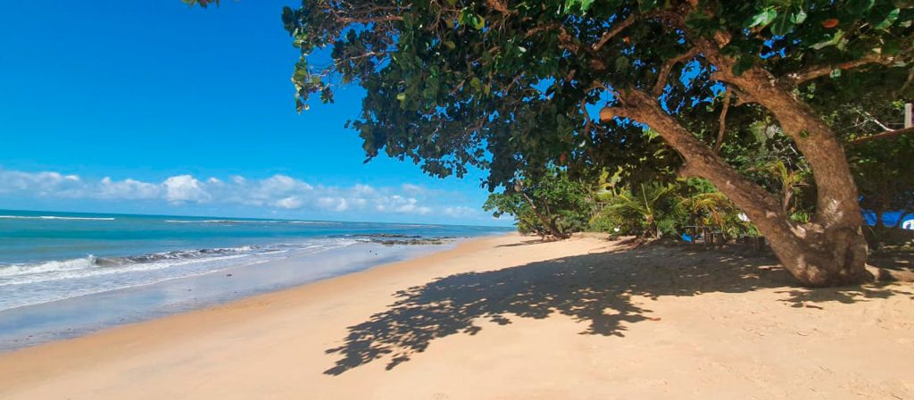 As melhores praias desertas para conhecer no Brasil - Dicas de ...